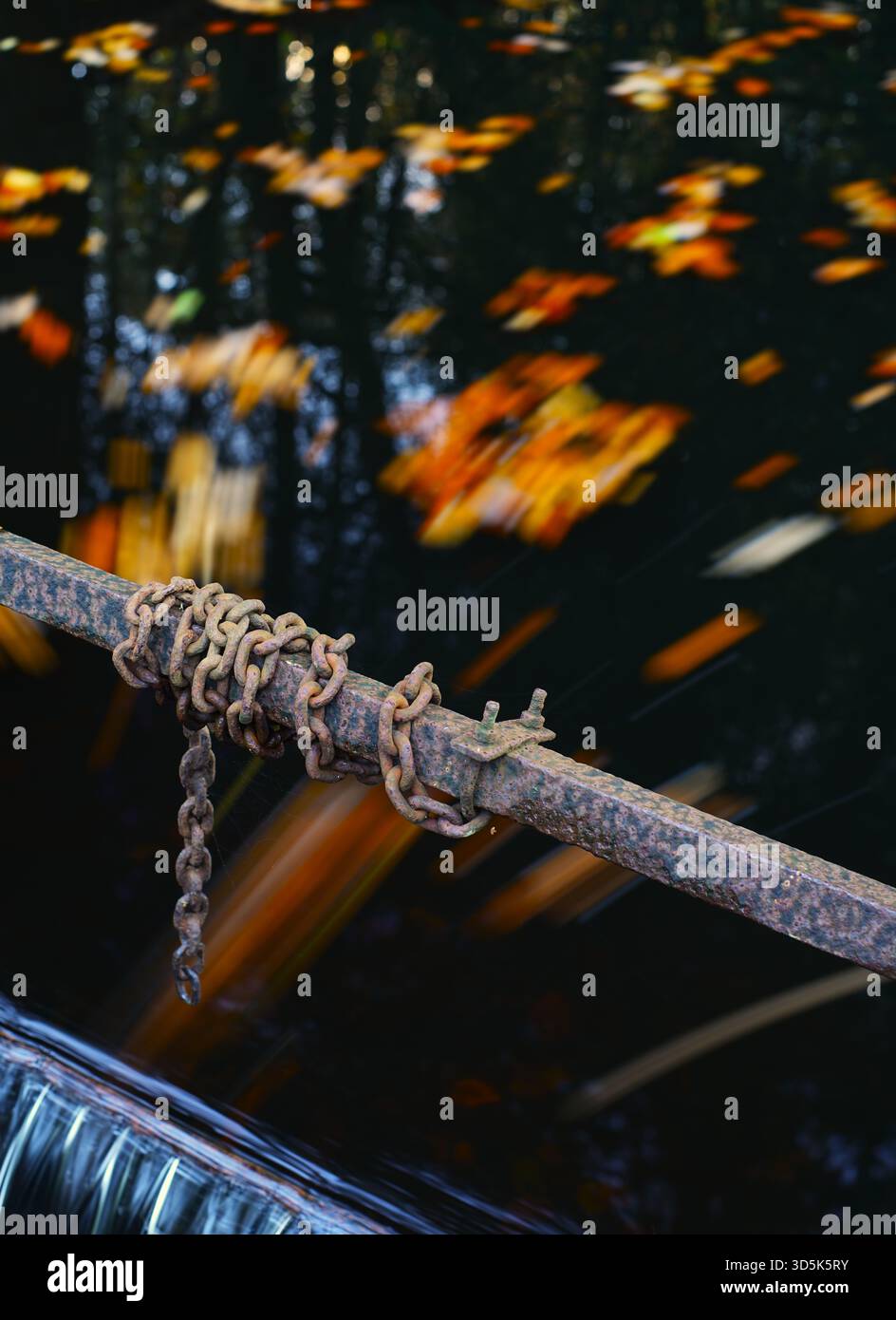 Flowing movement of autumn leaves in water Stock Photo - Alamy