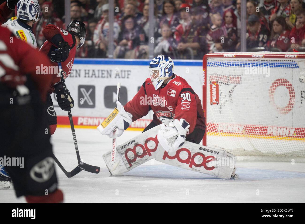 Janne Juvonen (Cologne Sharks, goalkeeper, #30); PENNY DEL 1; Cologne ...