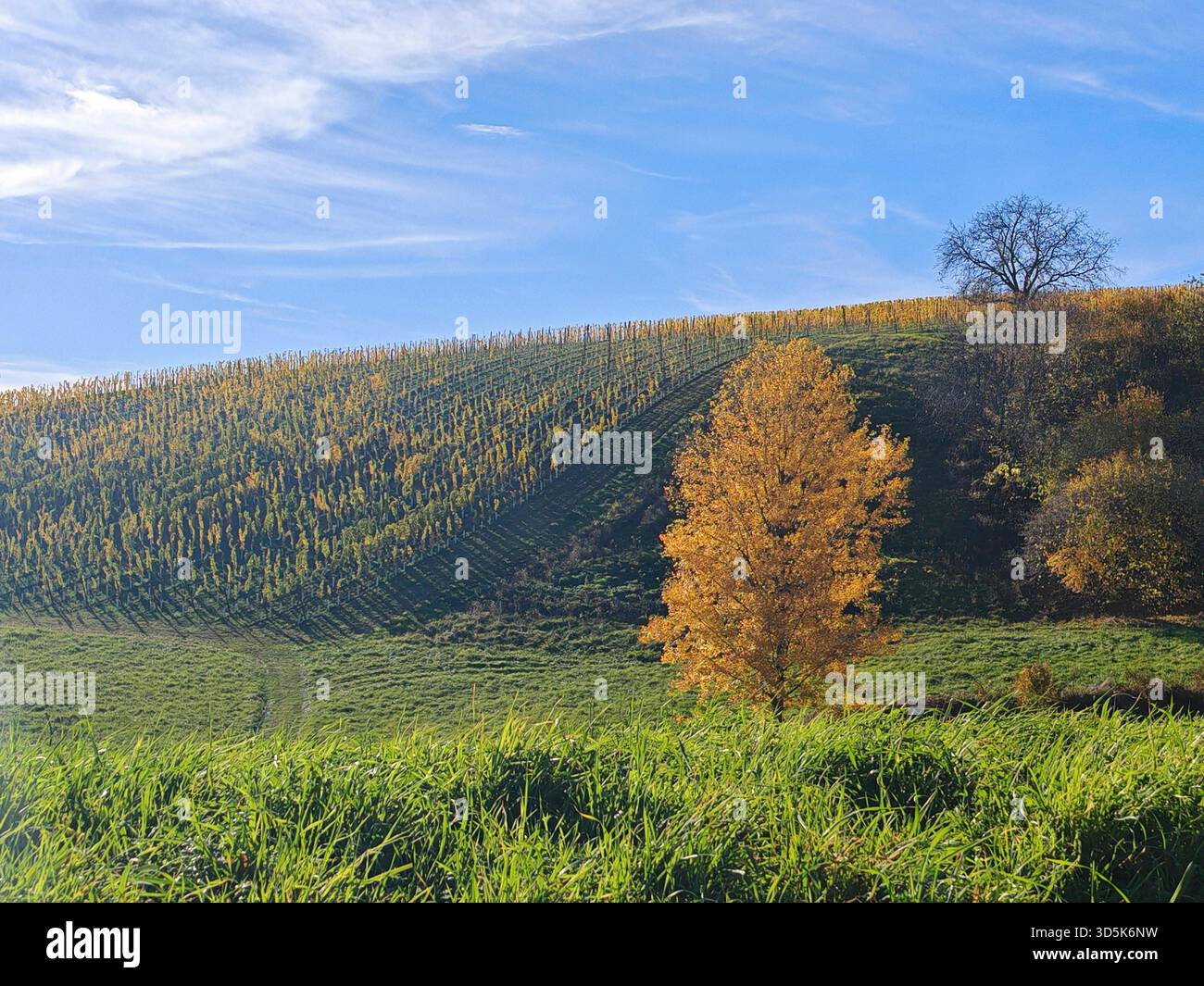this is klöch wine-growing region, southern styria klöch wine-growing ...