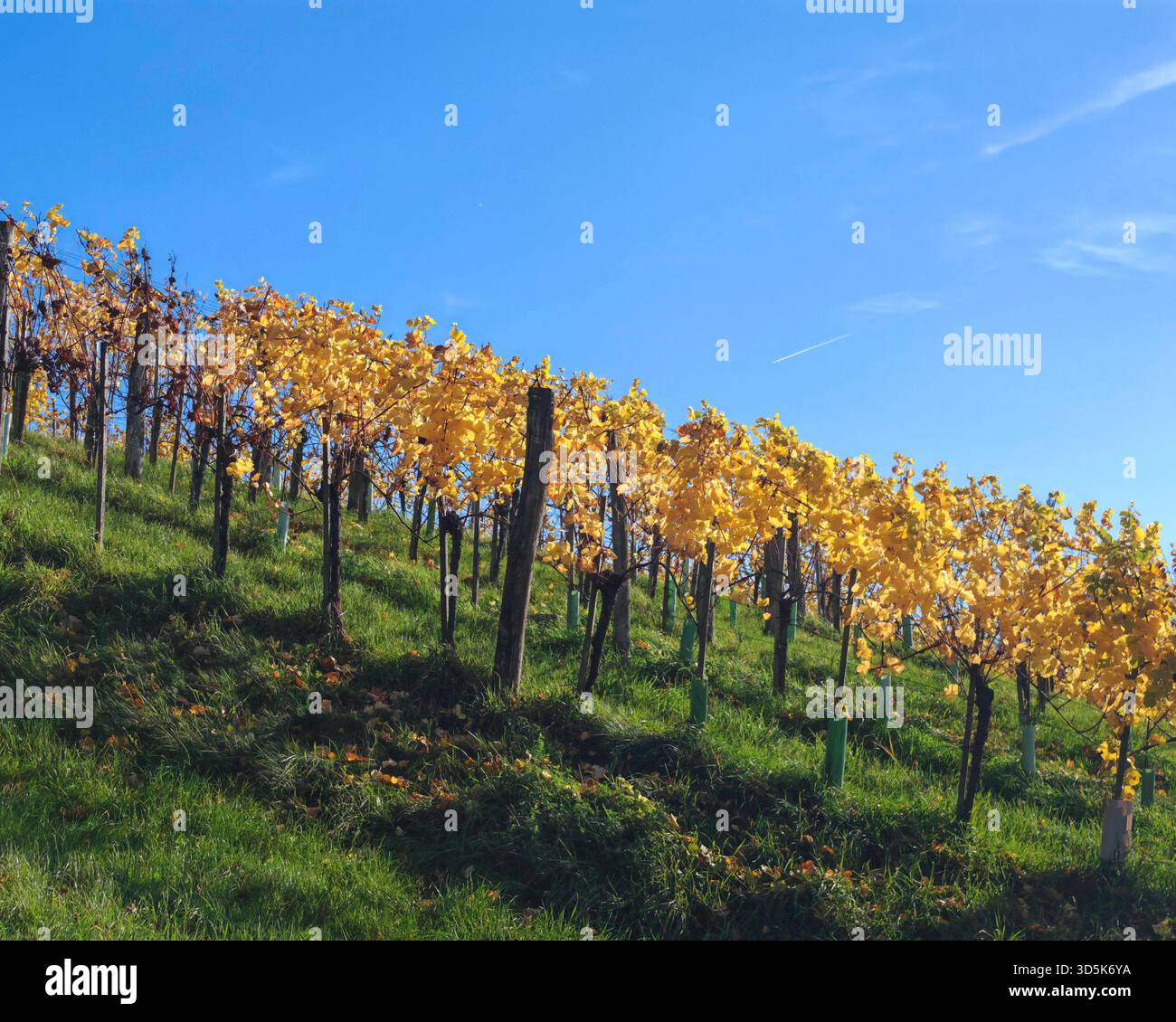this is klöch wine-growing region, southern styria klöch wine-growing ...