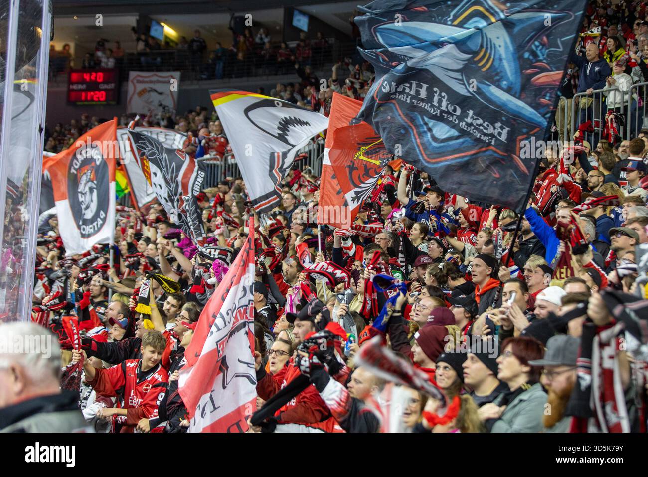 The fans [supporters] of the Cologne Sharks celebrate Cologne Sharks vs ...