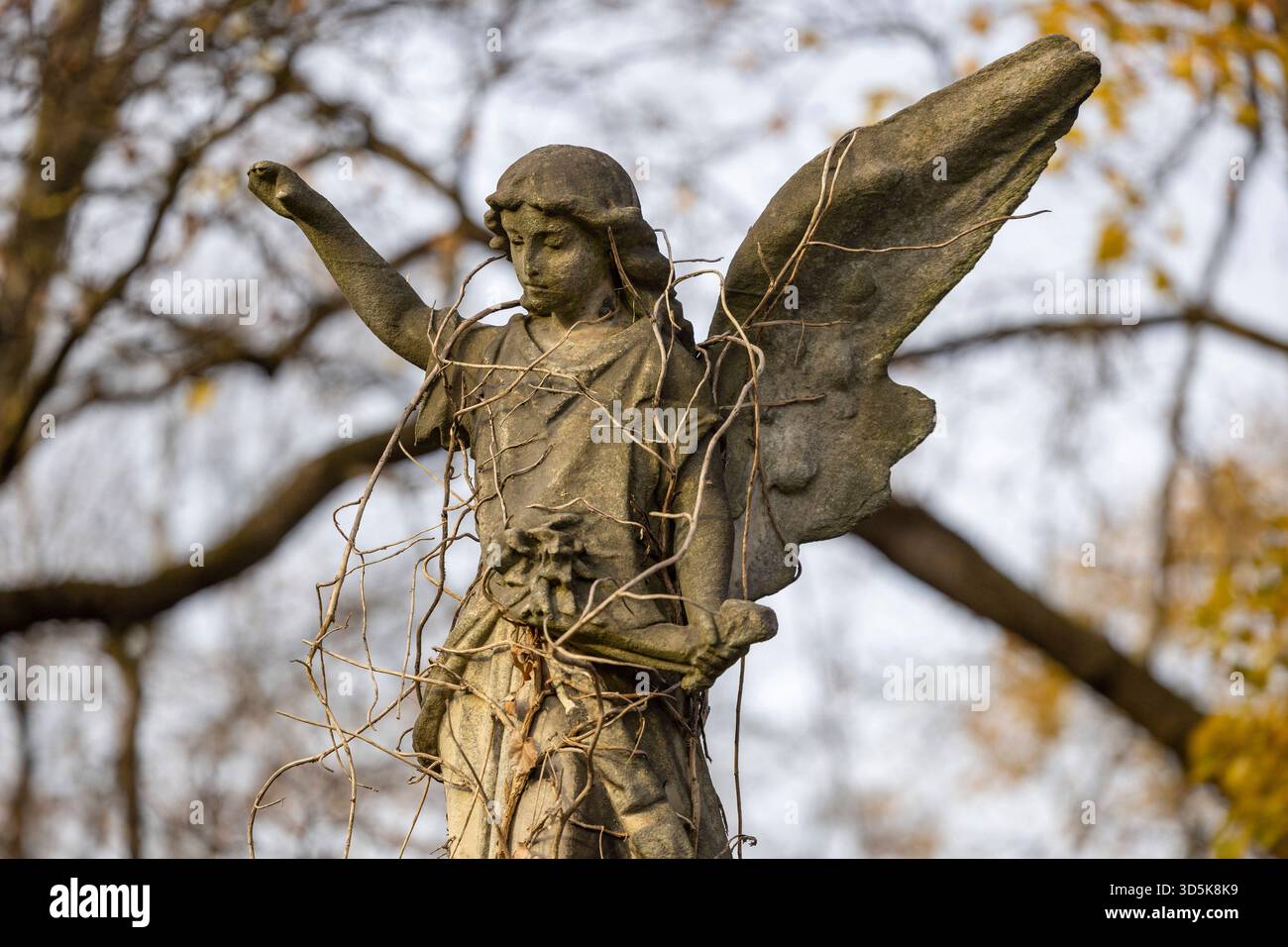 Umrankter Engel Grab Grabschmuck Friedhof Skulptur Figur / Datum: 12.11 ...