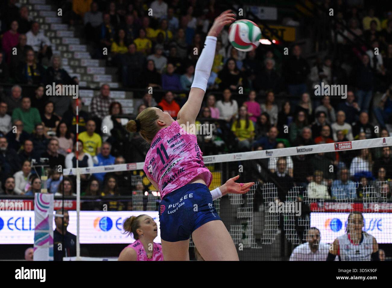 Isabelle Haak ( Prosecco DOC A.Carraro Imoco Volley Stock Photo - Alamy