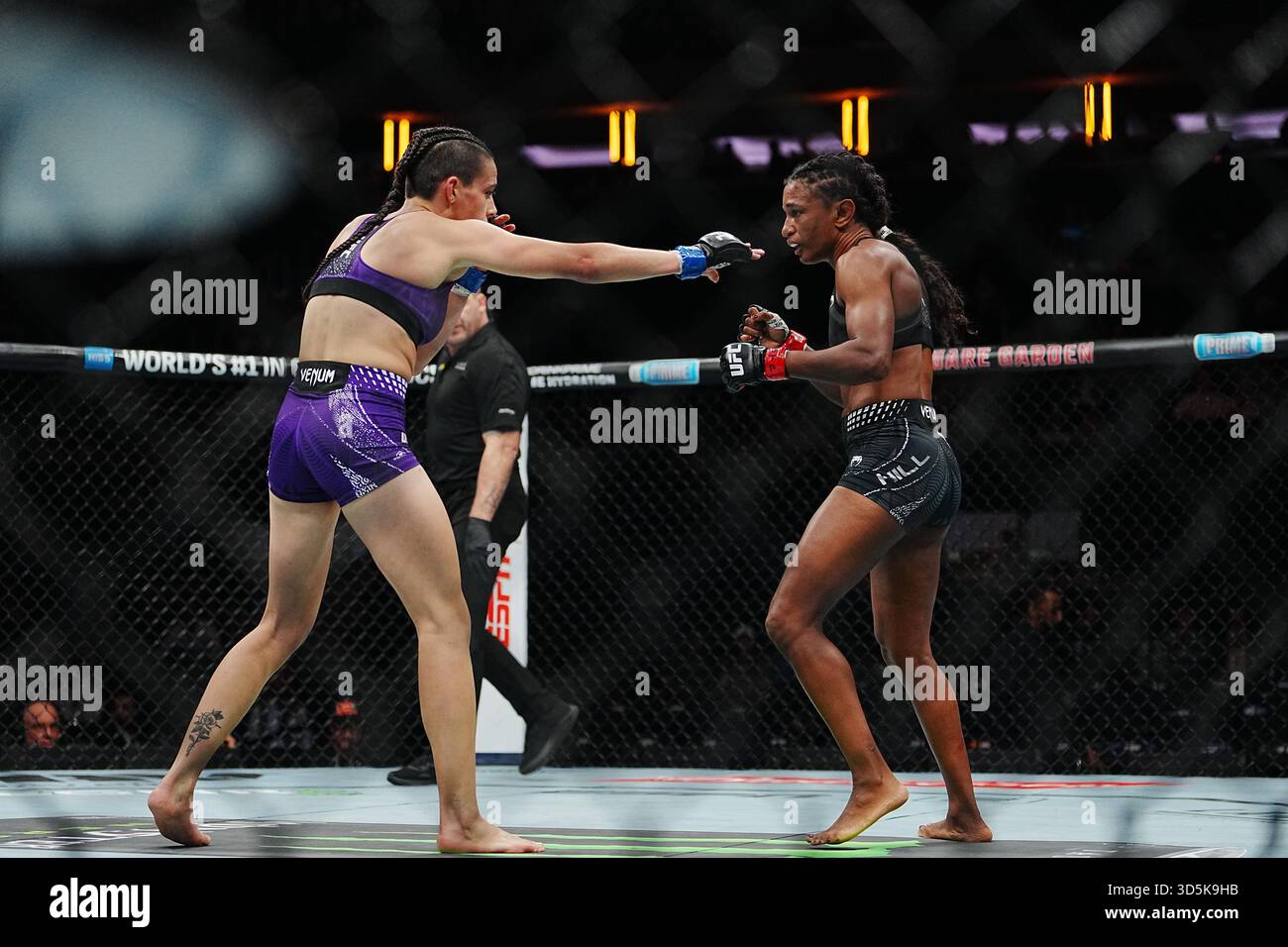 NEW YORK CITY, NY- NOVEMBER 15:Angela Hill and Fatima Kline meet in the ...