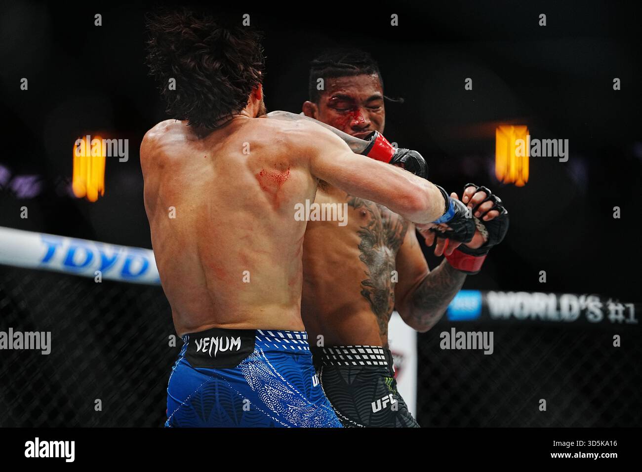 NEW YORK CITY, NY- NOVEMBER 15:Malcolm Wellmaker and Ethyn Ewing meet ...