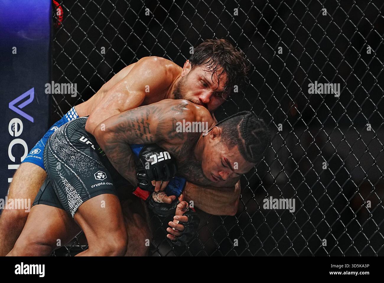 NEW YORK CITY, NY- NOVEMBER 15:Malcolm Wellmaker and Ethyn Ewing meet ...