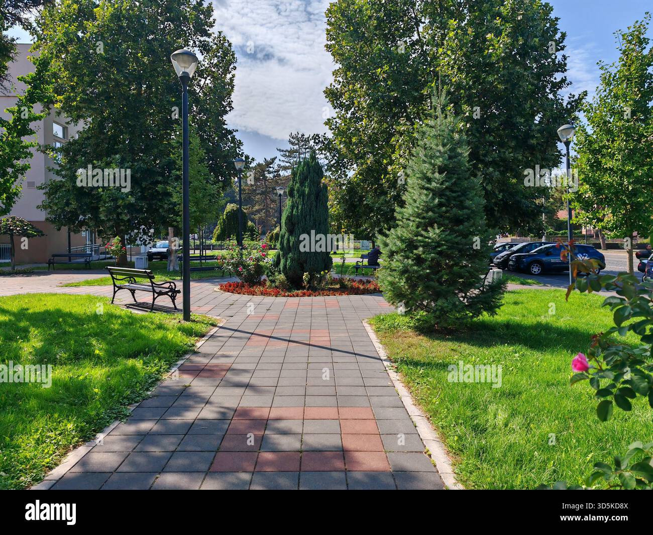 Lawn trees path benches hi-res stock photography and images - Alamy