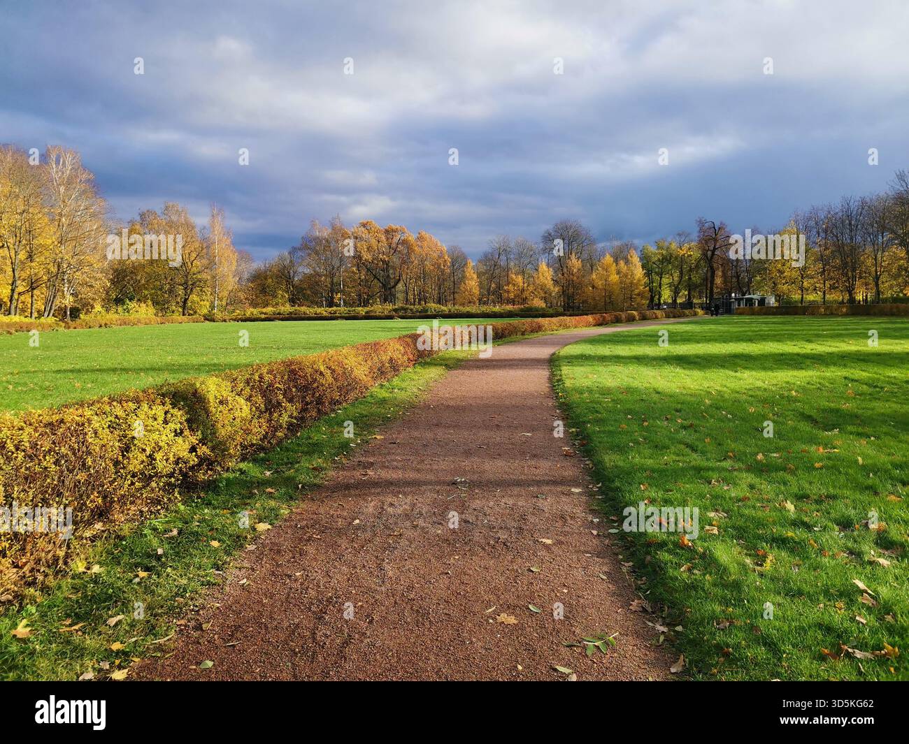 Gravel path under tree shadow hi-res stock photography and images - Alamy