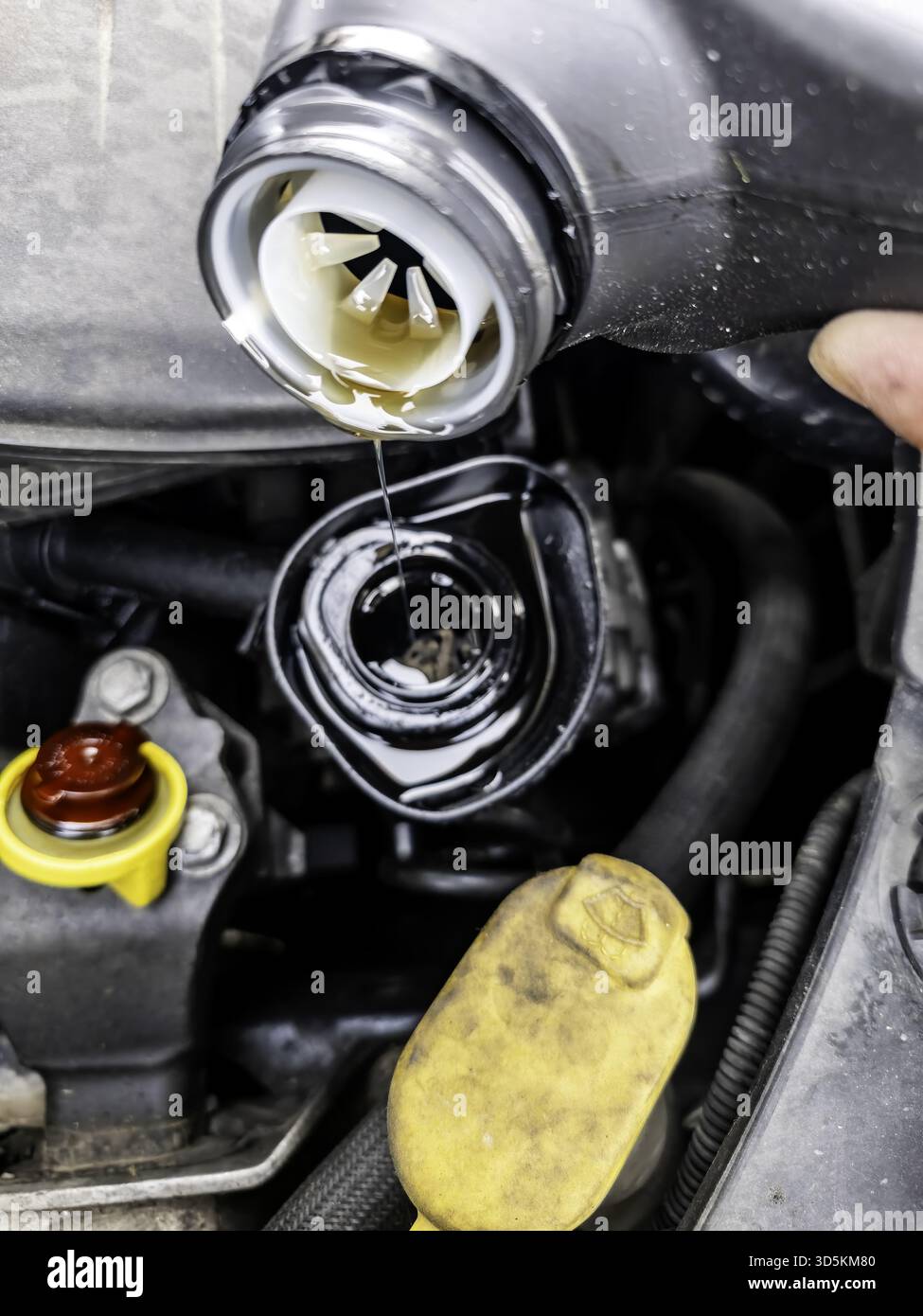 Detail of a mechanic putting engine oil in a car Stock Photo - Alamy