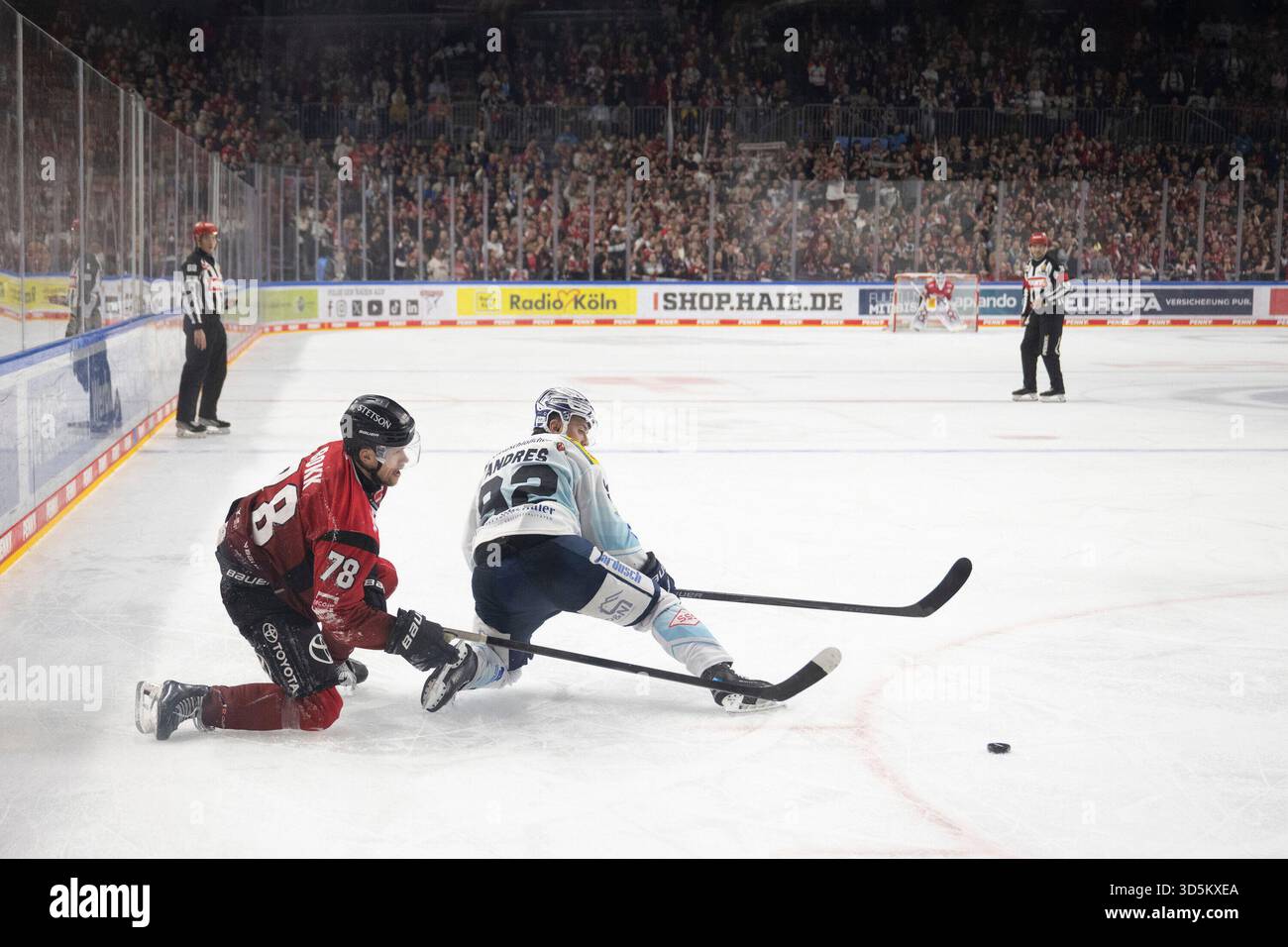 Dominik Bokk (Cologne Sharks, forward, #78); Tomas Anders (Dresden ...