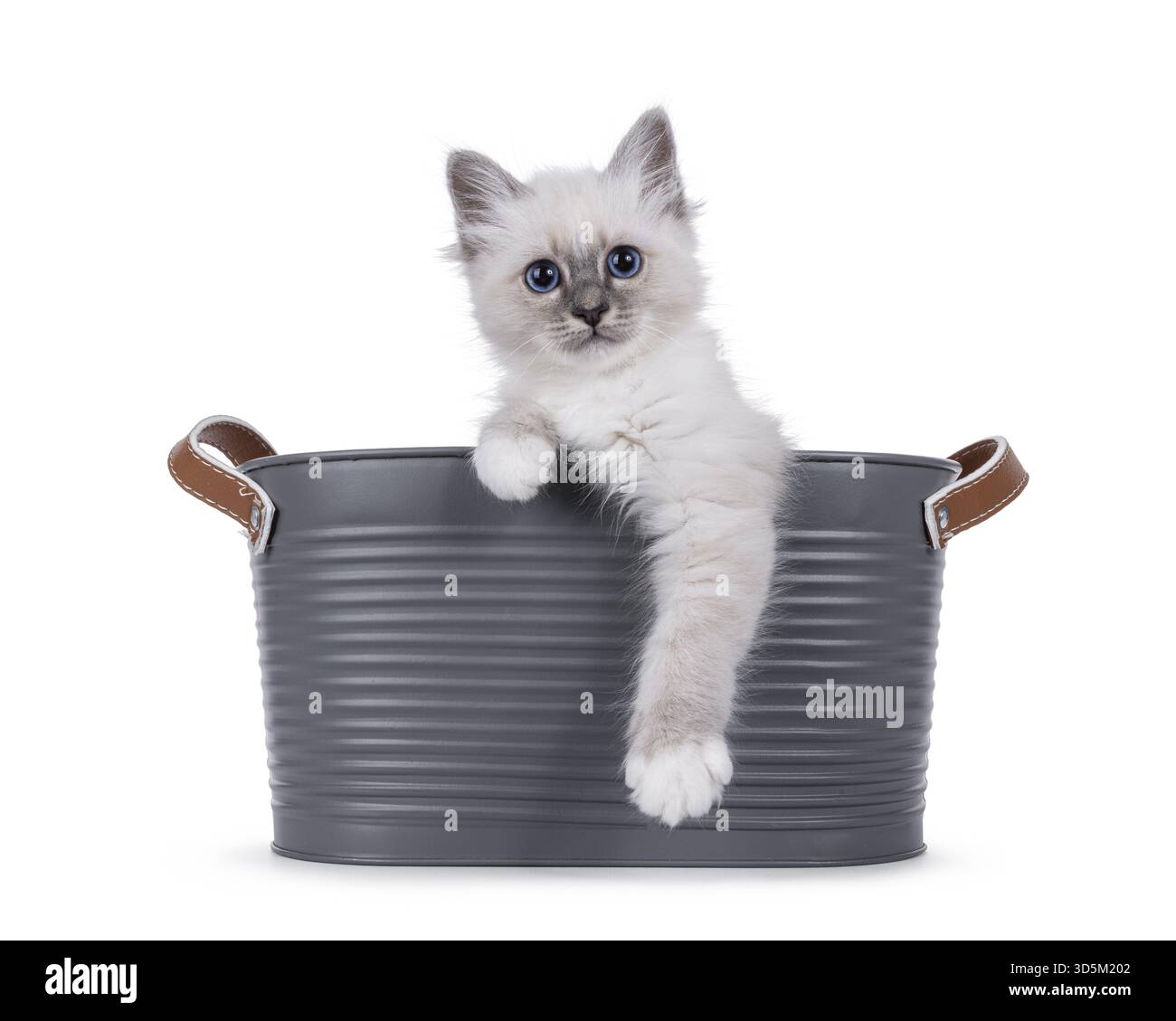 Light gray edge Cut Out Stock Images & Pictures - Alamy