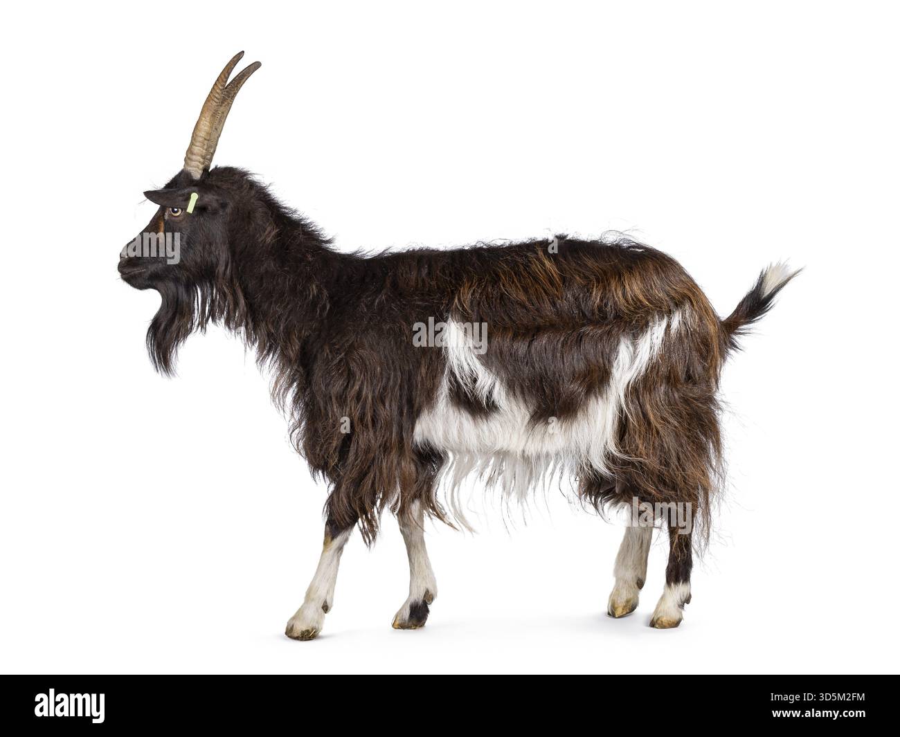 Walk on land Cut Out Stock Images & Pictures - Alamy