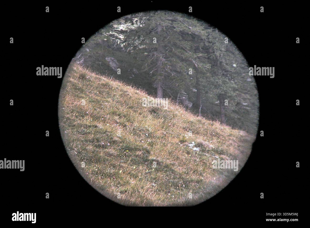 observation with a telescope or field glasses for seeing distant ...