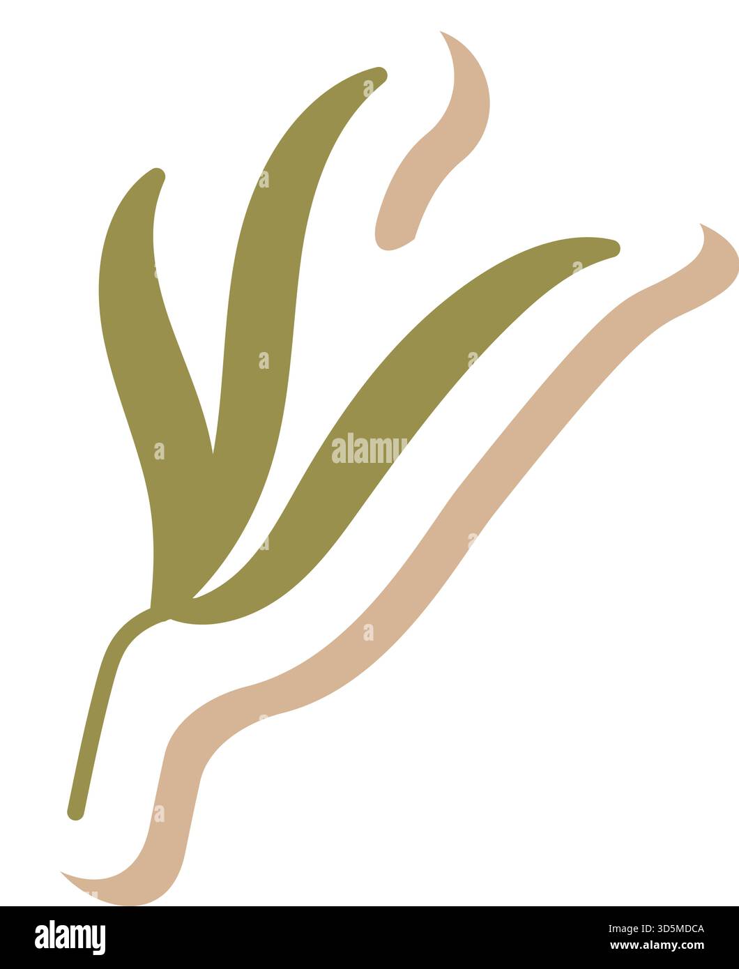 Flat mistletoe branch holiday hi-res stock photography and images - Alamy