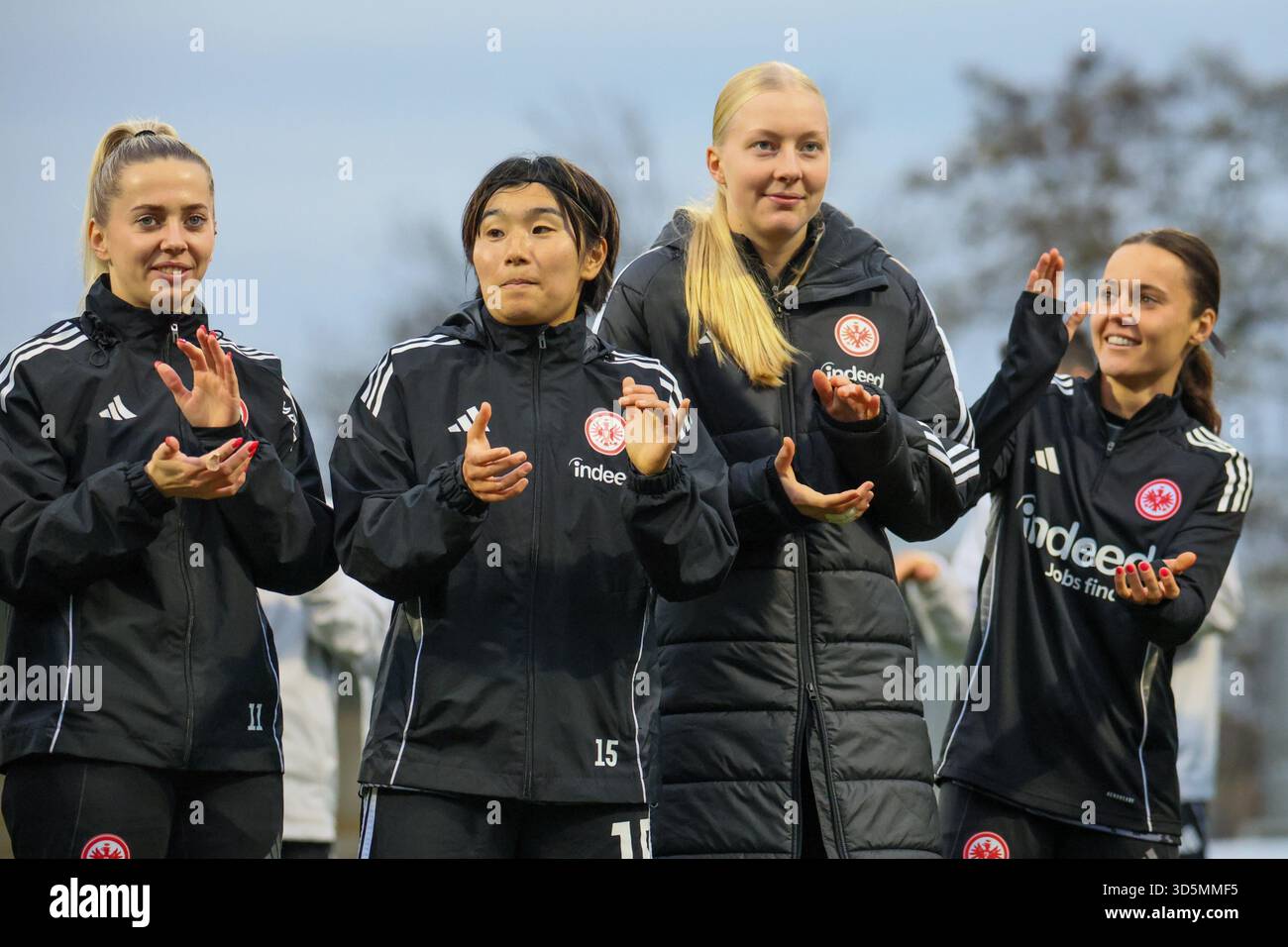 Sinsheim, Germany November 16, 2025: DFB Cup Women - Round of 16 - 2025 ...