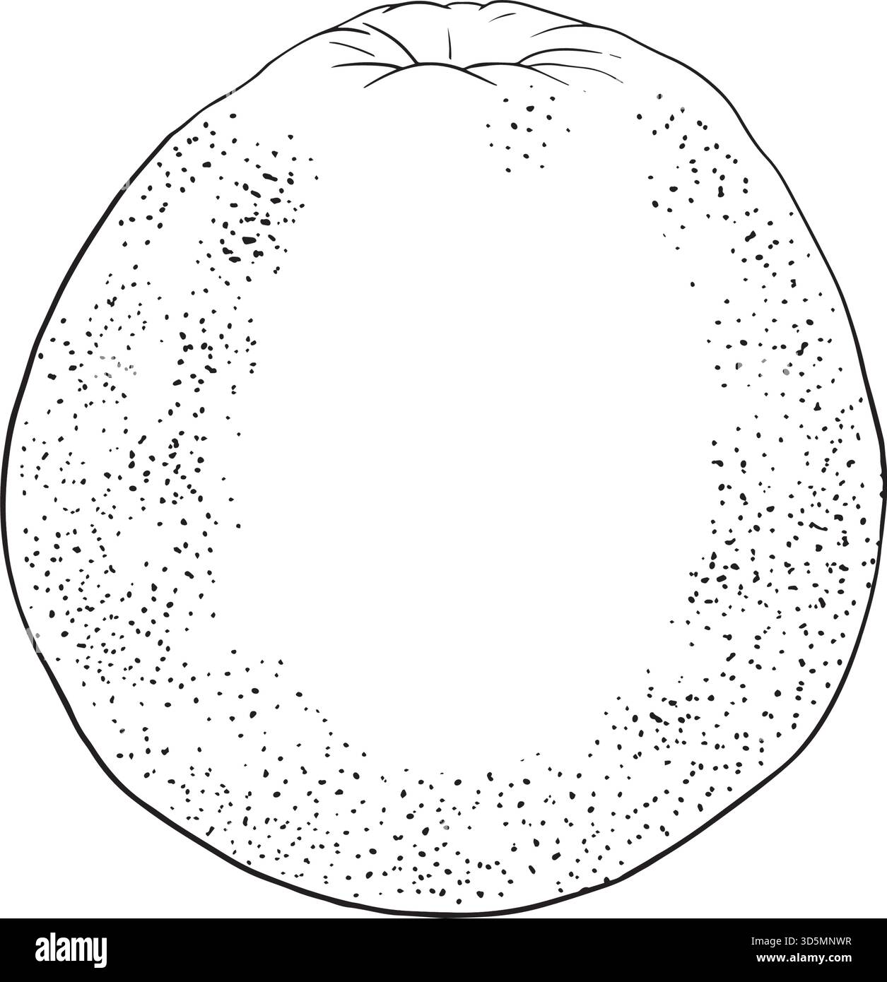 Botanical form Black and White Stock Photos & Images - Alamy