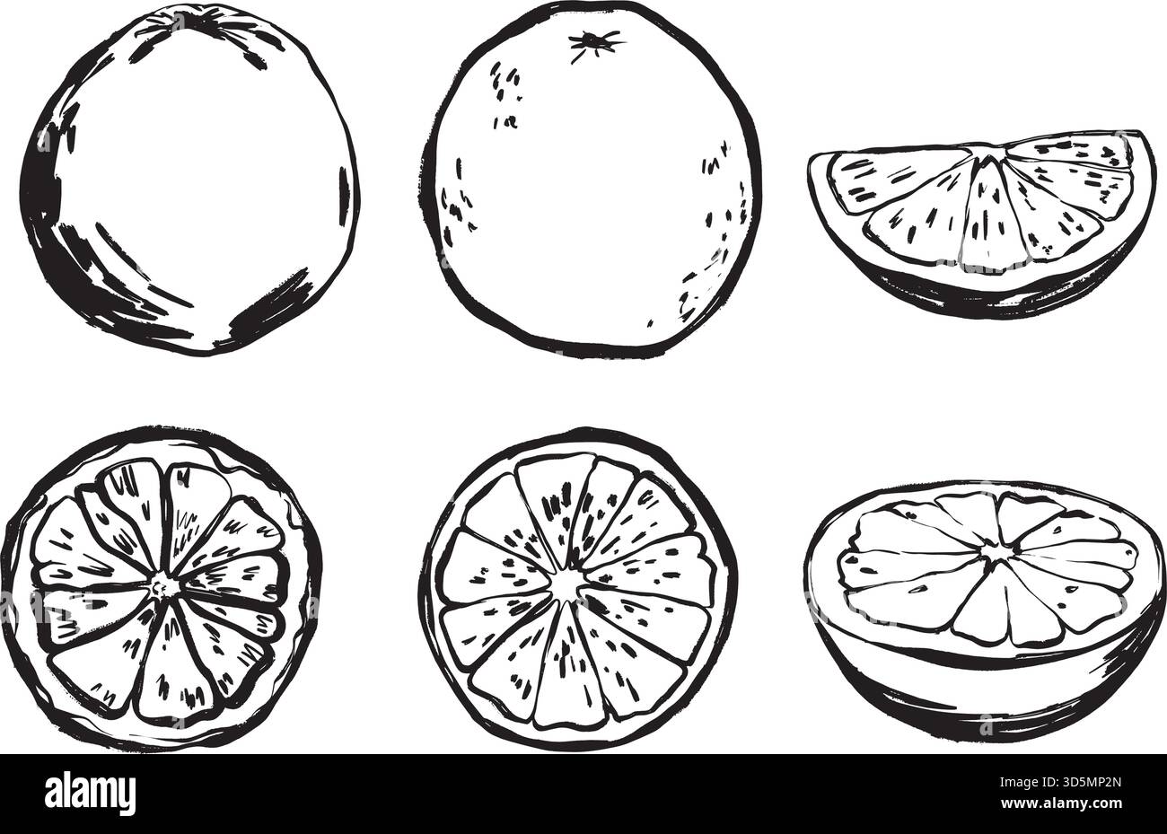 Lime wedge garnish Black and White Stock Photos & Images - Alamy