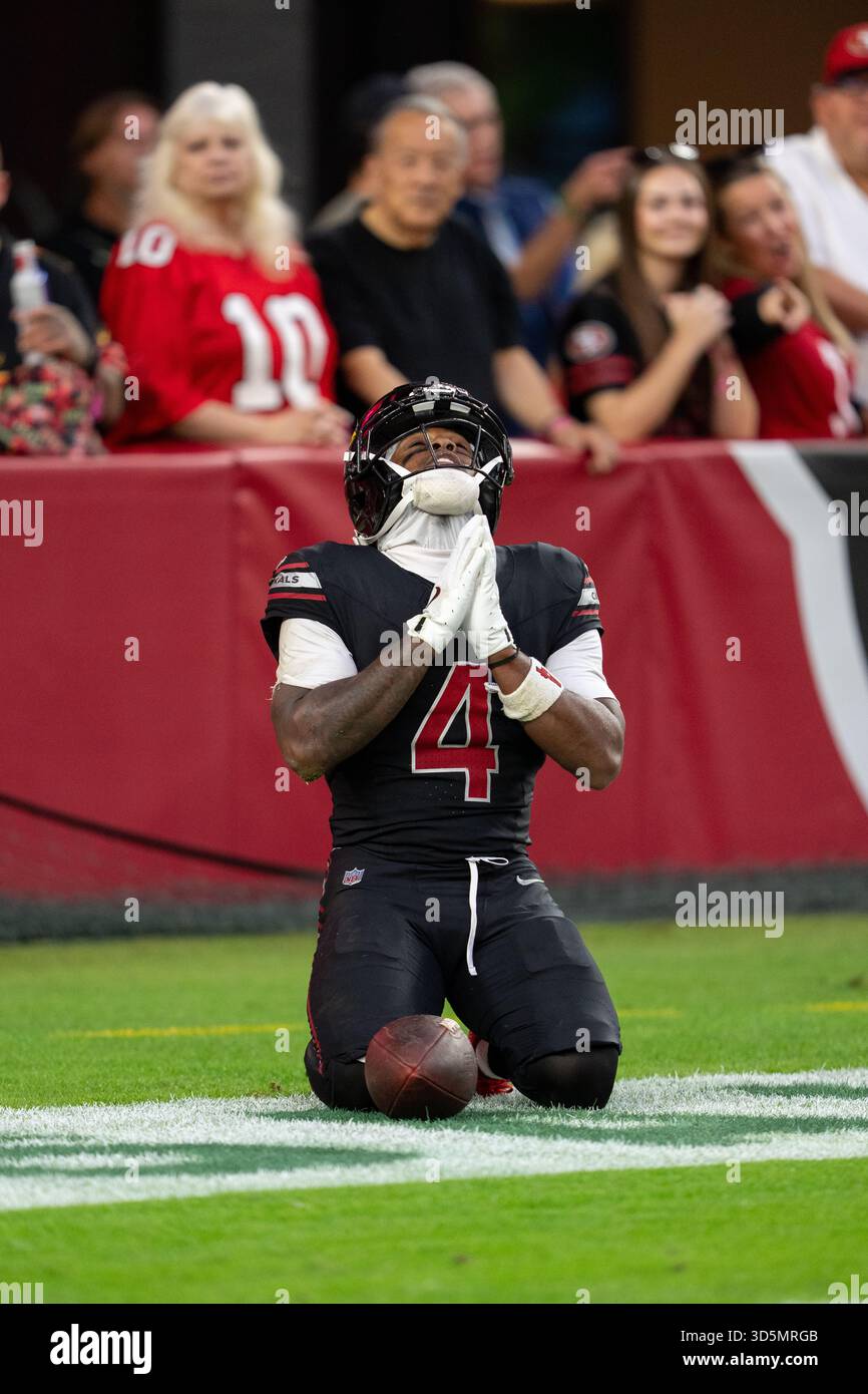 Arizona Cardinals wide receiver Greg Dortch (4) celebrates a touchdown ...