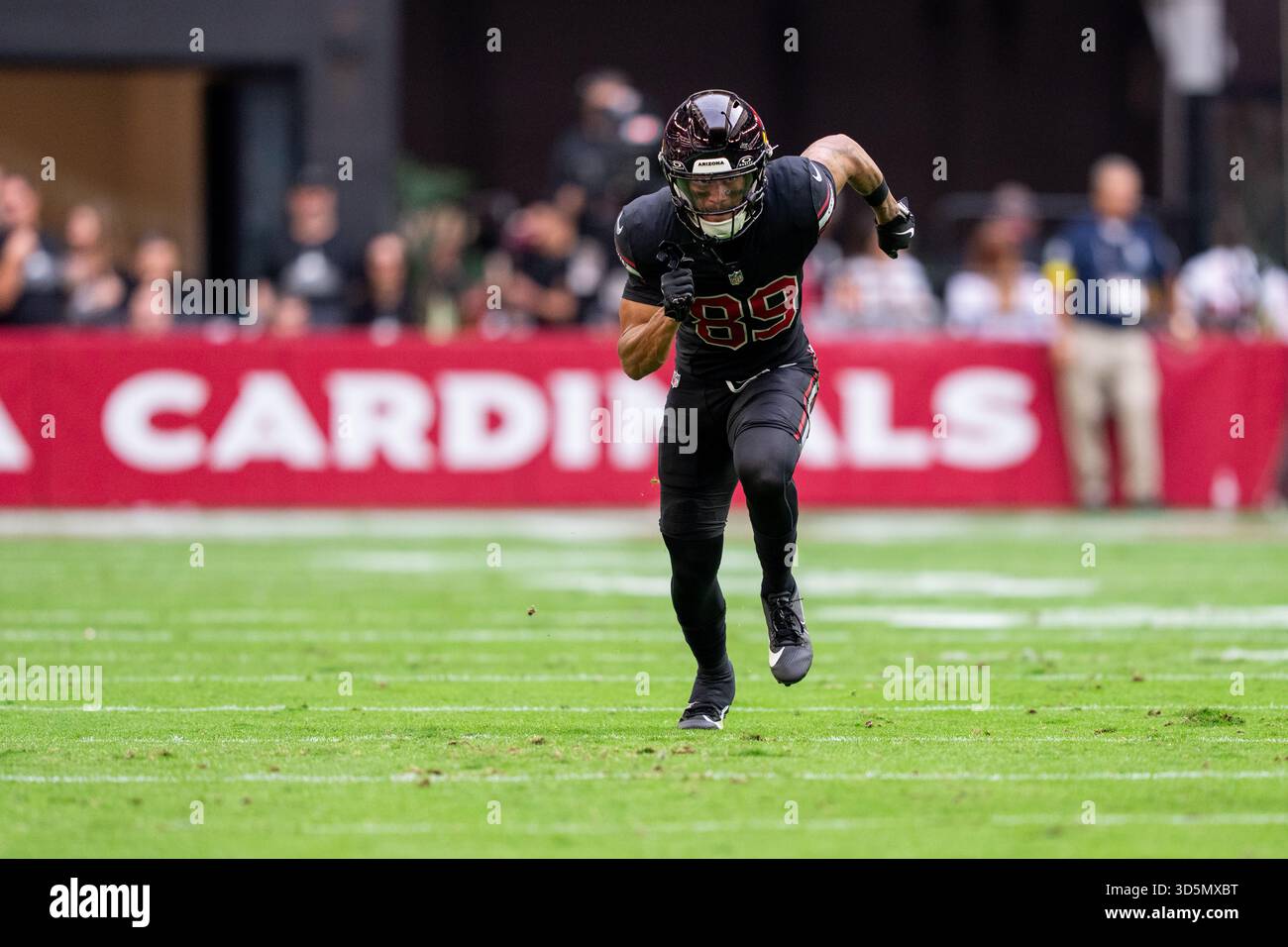 Arizona Cardinals wide receiver Xavier Weaver (89) runs during an NFL ...