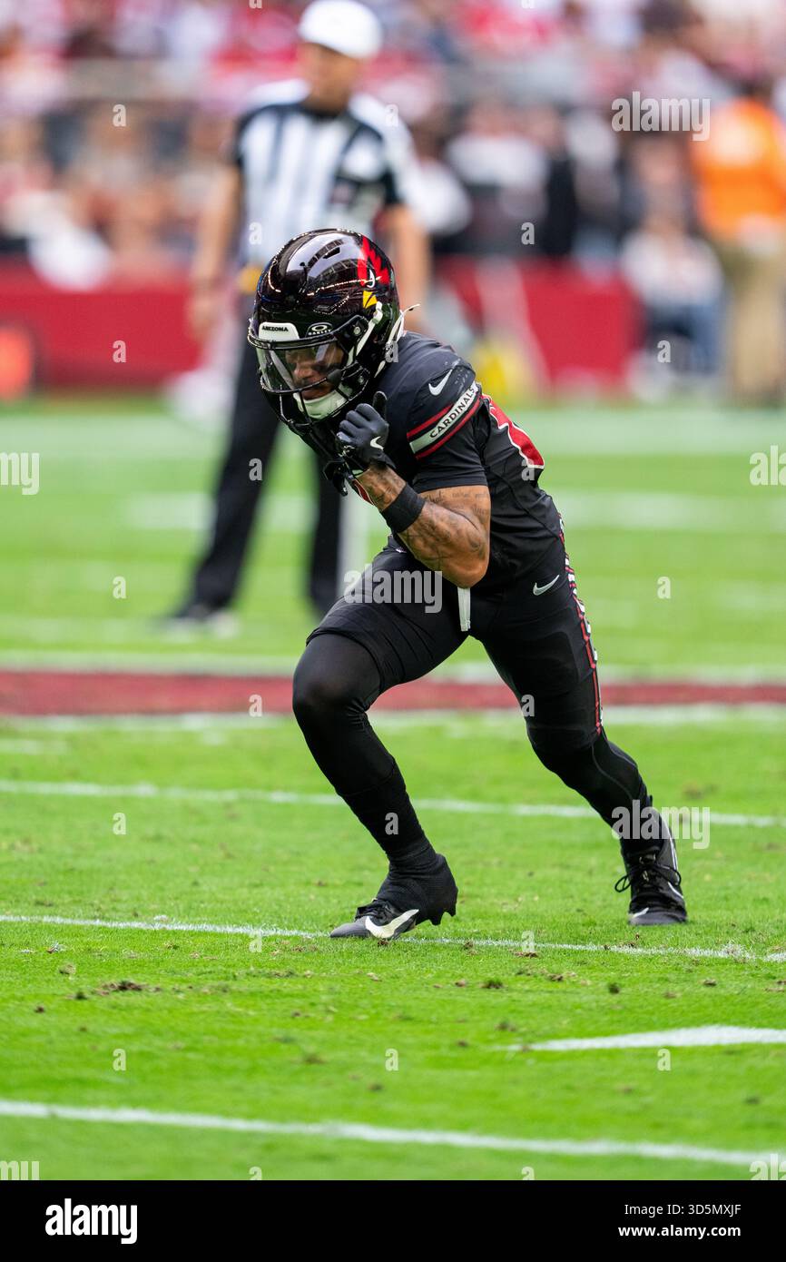 Arizona Cardinals wide receiver Xavier Weaver (89) runs during an NFL ...