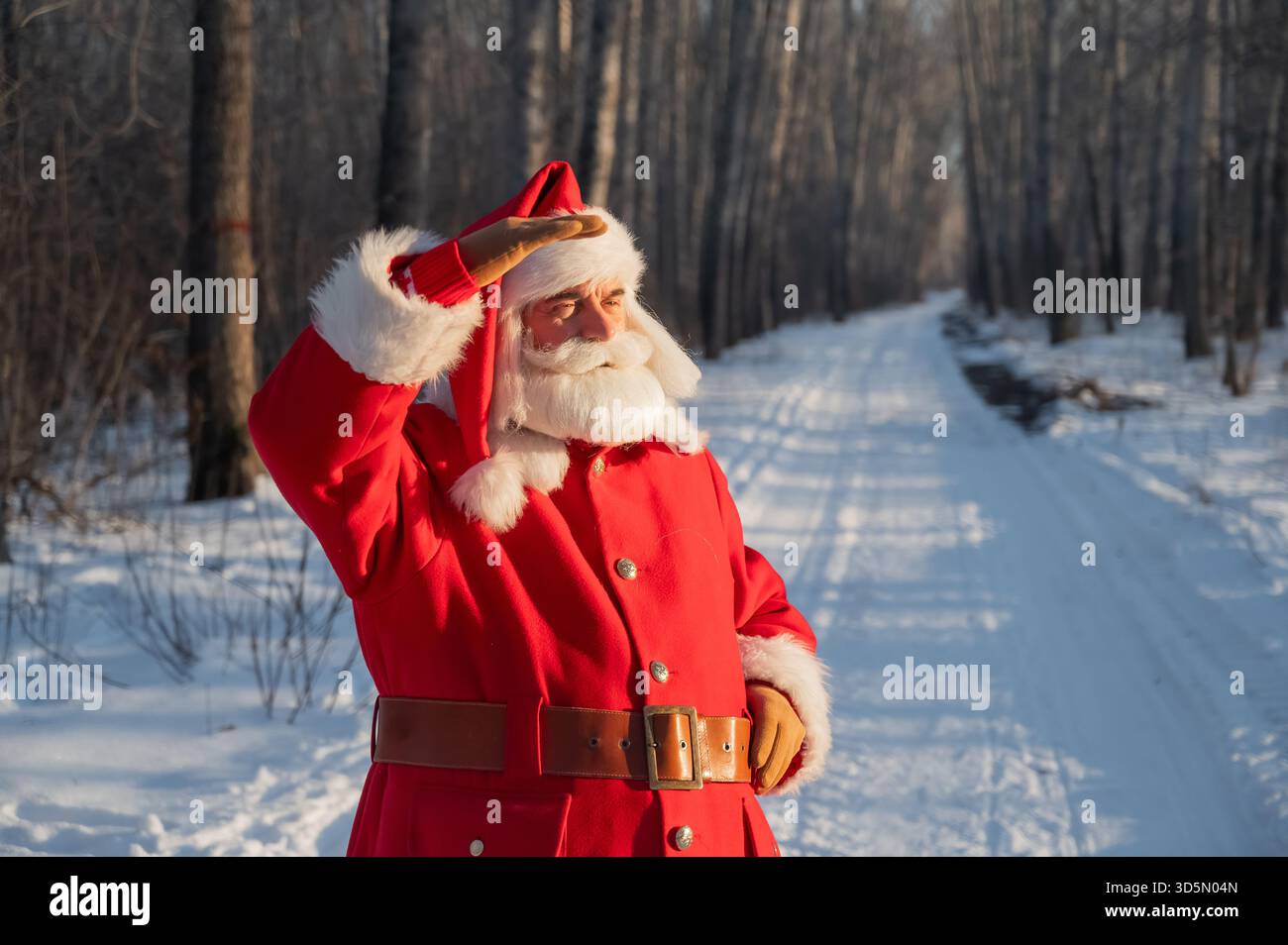Santa Claus walks through the winter forest Stock Photo - Alamy