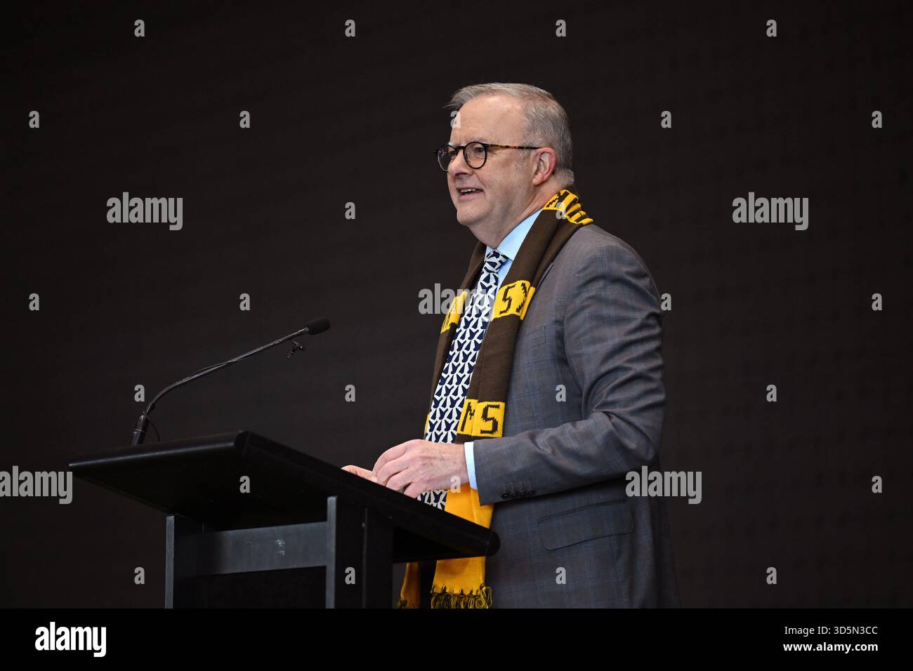 Prime Minister Anthony Albanese speaks at the official opening of the ...