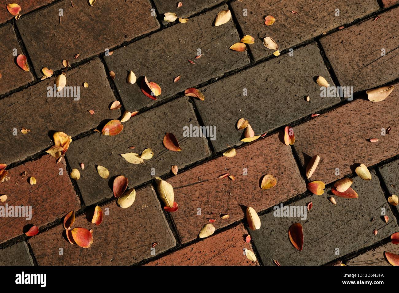 Golden brick texture hi-res stock photography and images - Alamy