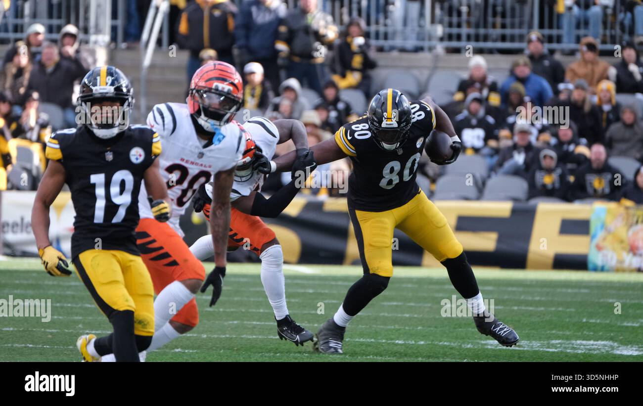 Nov 16, 2025: Darnell Washington #80 during the 2025 Steelers vs ...