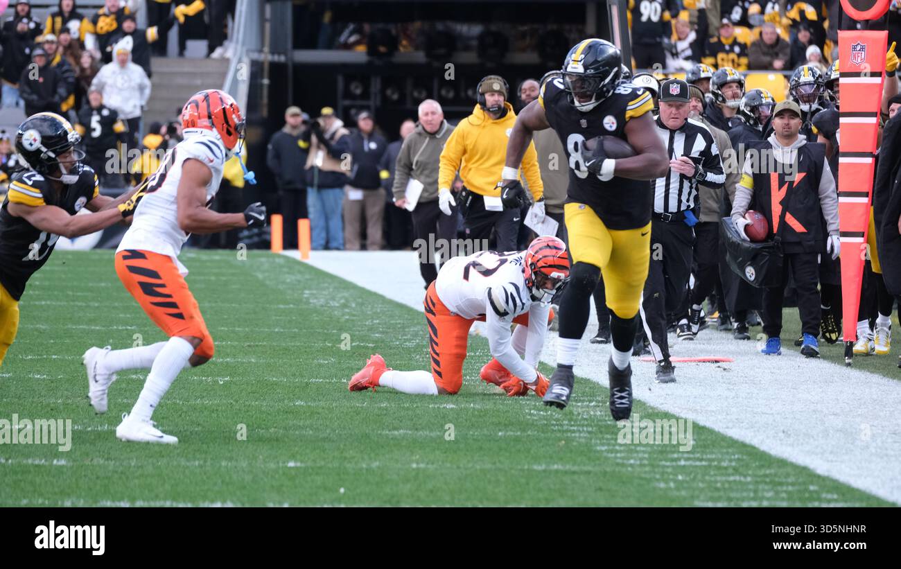 Nov 16, 2025: Darnell Washington #80 during the 2025 Steelers vs ...