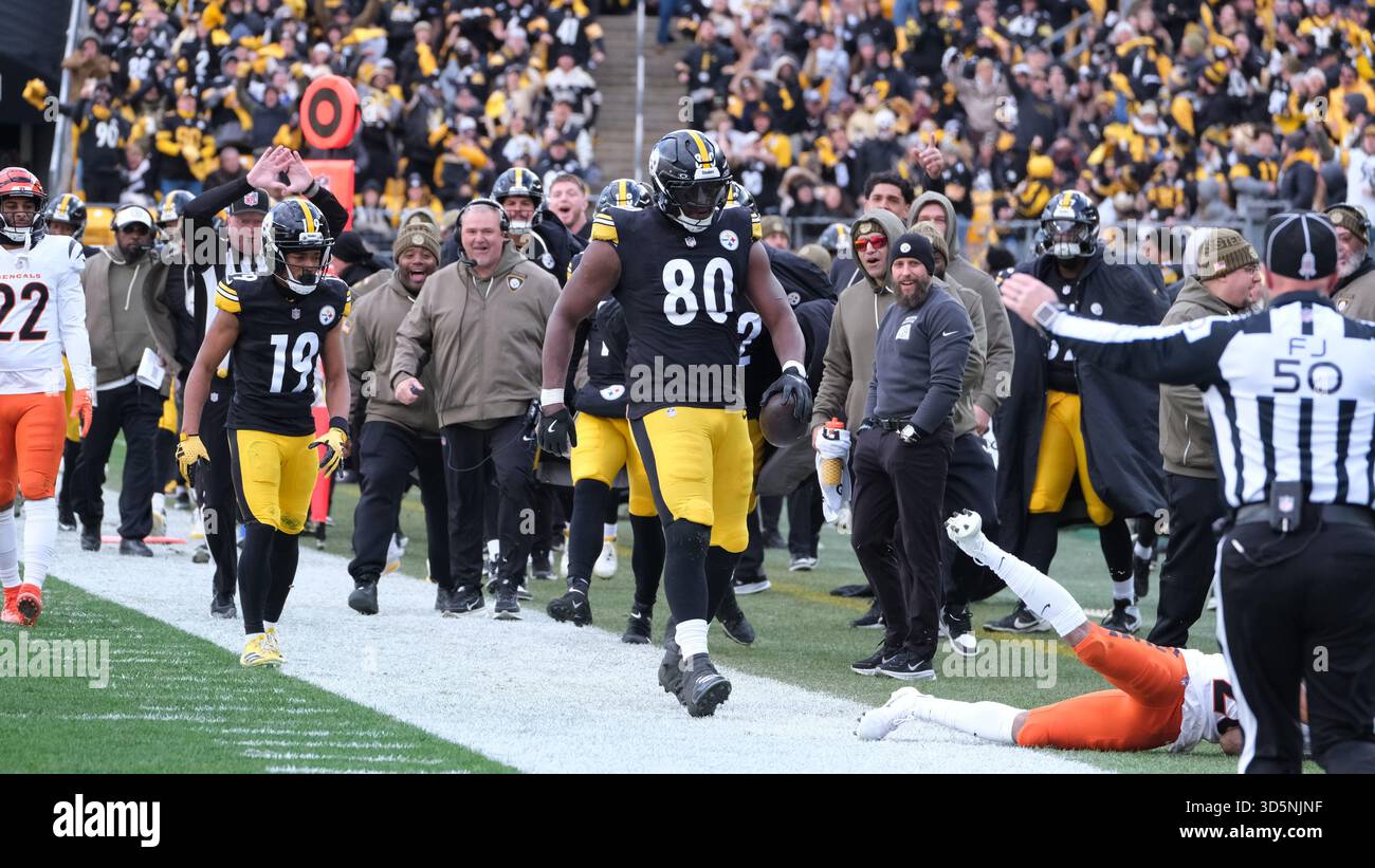 Nov 16, 2025: Darnell Washington #80 during the 2025 Steelers vs ...