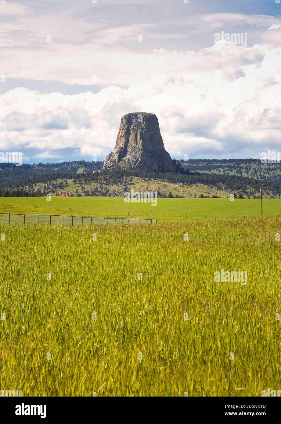 Field below Devil's Tower on a sunny spring day in Wyoming Stock Photo ...