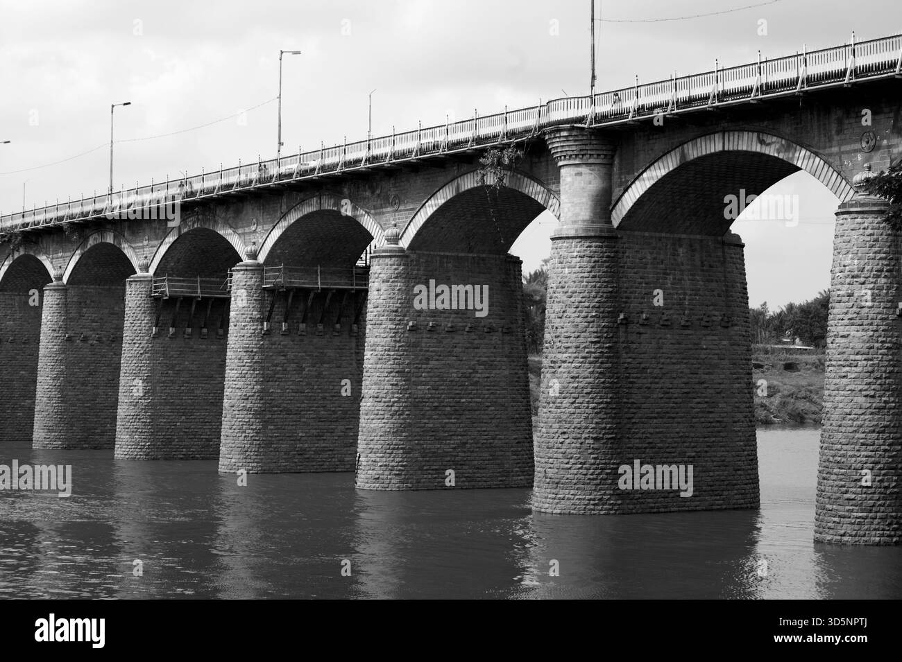 Reddish Black and White Stock Photos & Images - Alamy