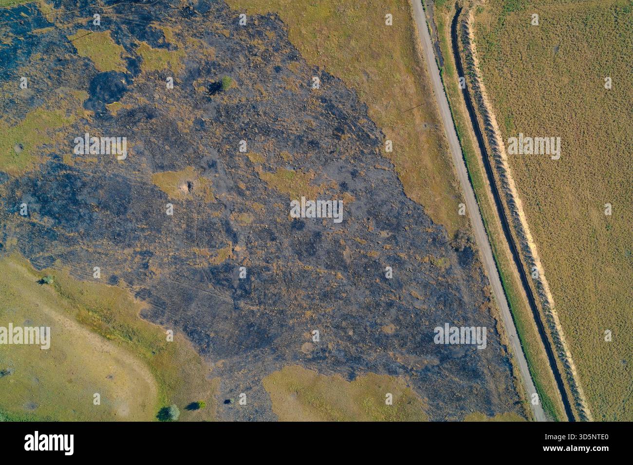 Vertical aerial photograph showing the sharp boundary between black ...