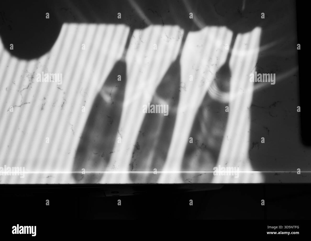 Still life shows white Black and White Stock Photos & Images - Alamy