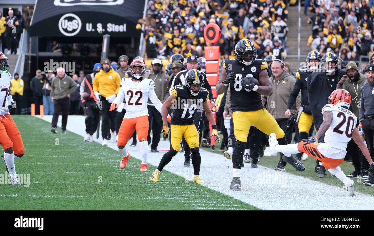Nov 16, 2025: Darnell Washington #80 during the 2025 Steelers vs ...