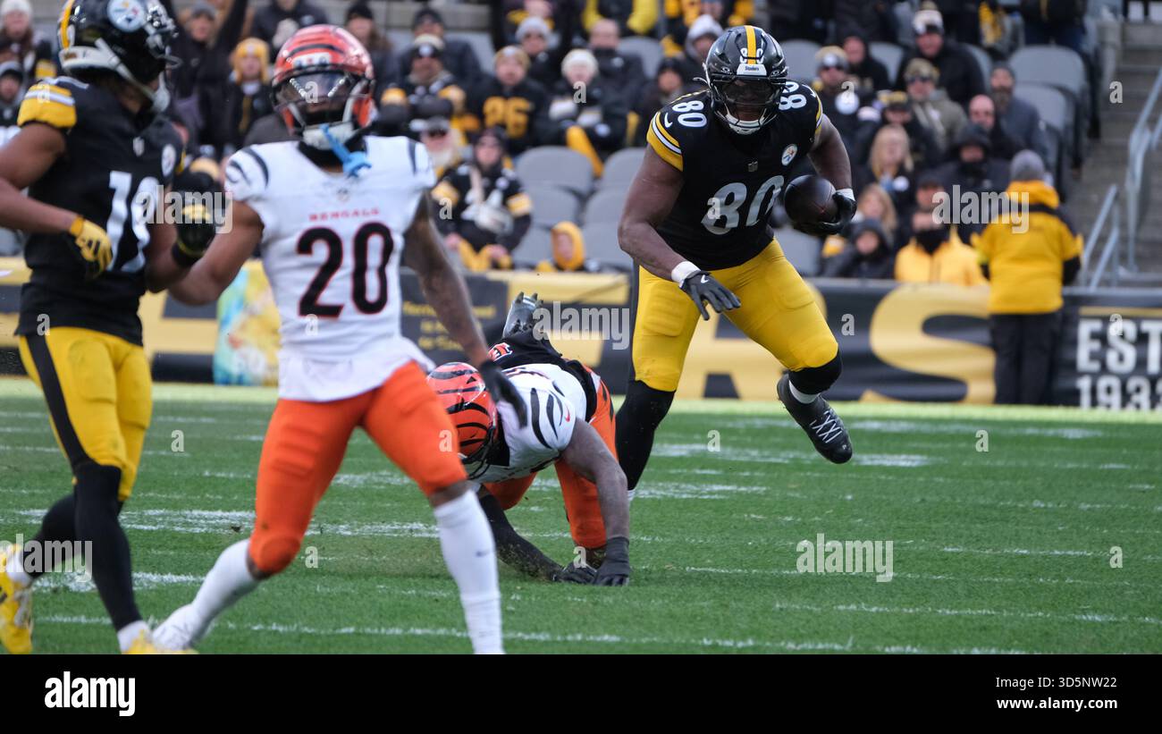 Nov 16, 2025: Darnell Washington #80 during the 2025 Steelers vs ...