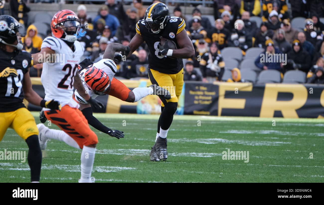 Nov 16, 2025: Darnell Washington #80 during the 2025 Steelers vs ...