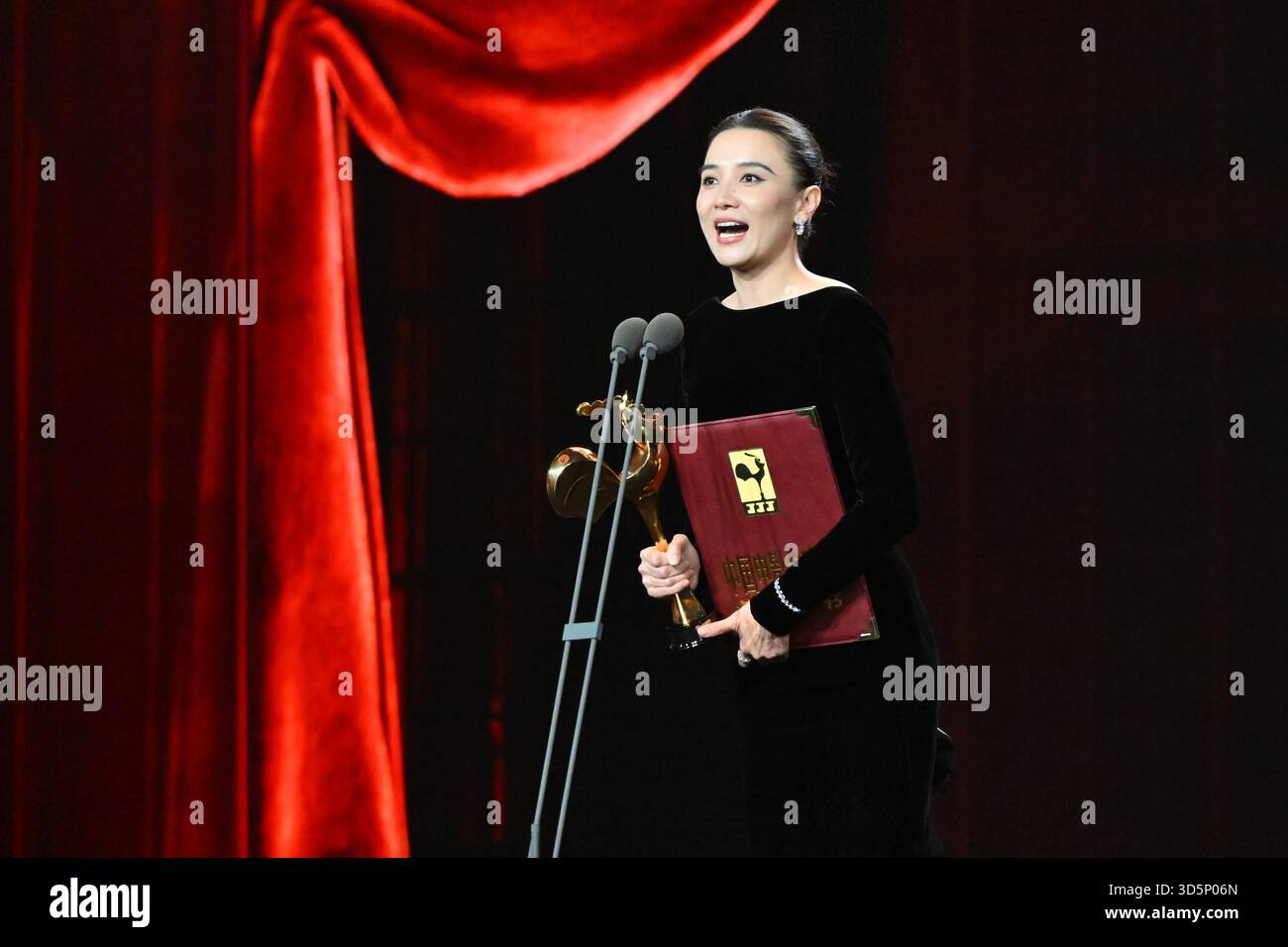 Chinese actress and singer Song Jia wins the 38th Golden Rooster Awards ...