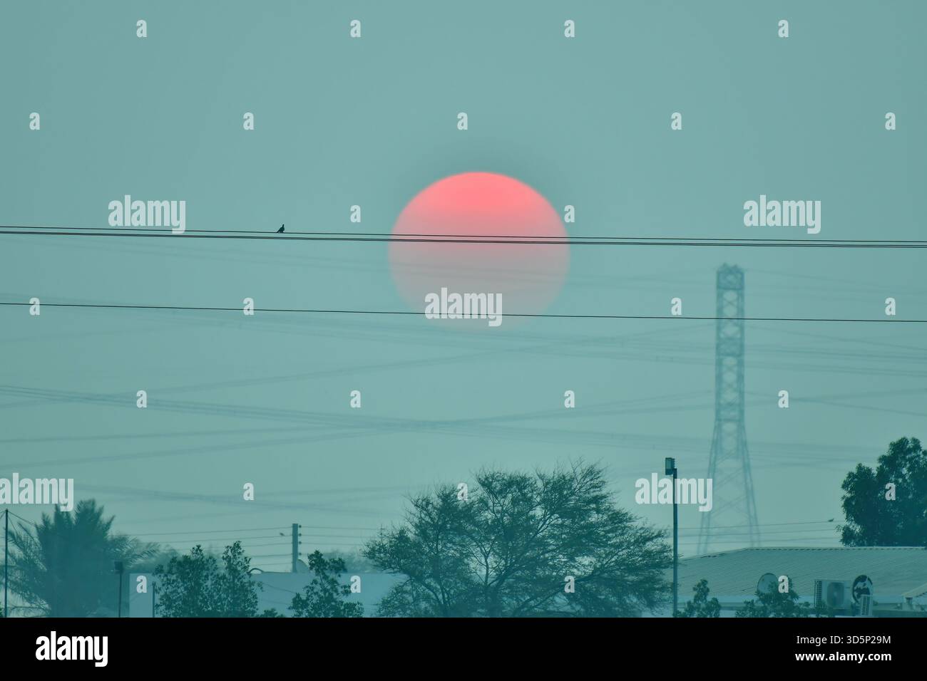 Doha, Qatar - A striking red sun sets behind a hazy sky, creating a ...