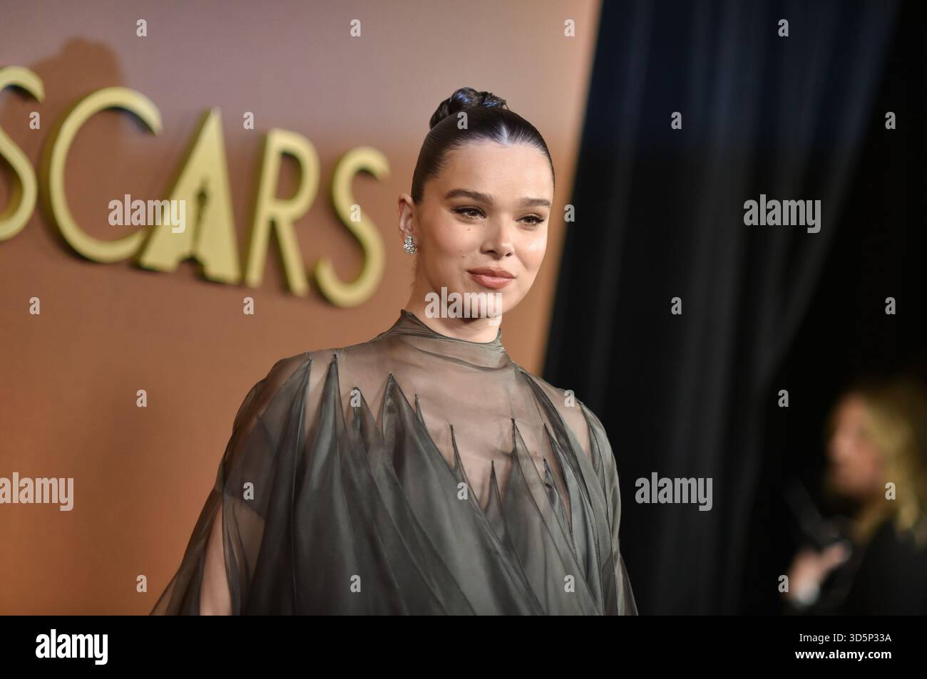 Hailee Steinfeld arrives at the 16th Governors Awards on Sunday, Nov ...