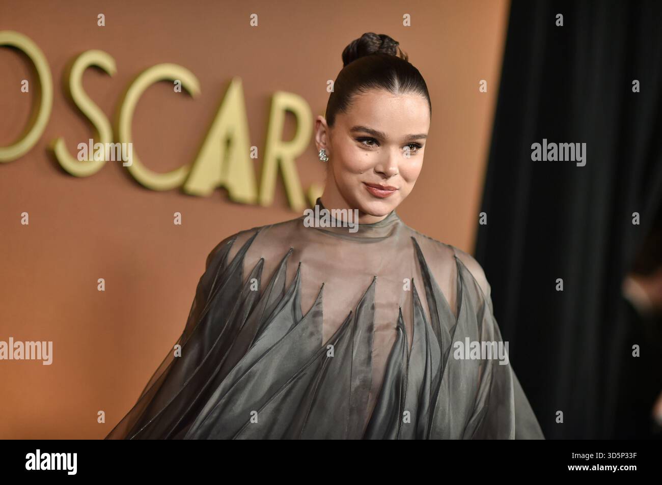 Hailee Steinfeld arrives at the 16th Governors Awards on Sunday, Nov ...