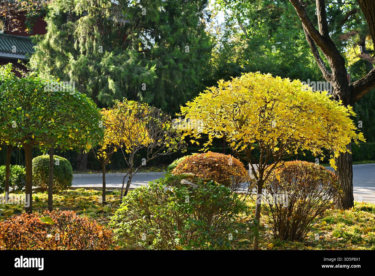 Early winter scenery at Ritan Park in Beijing, China, 14 November, 2025 ...