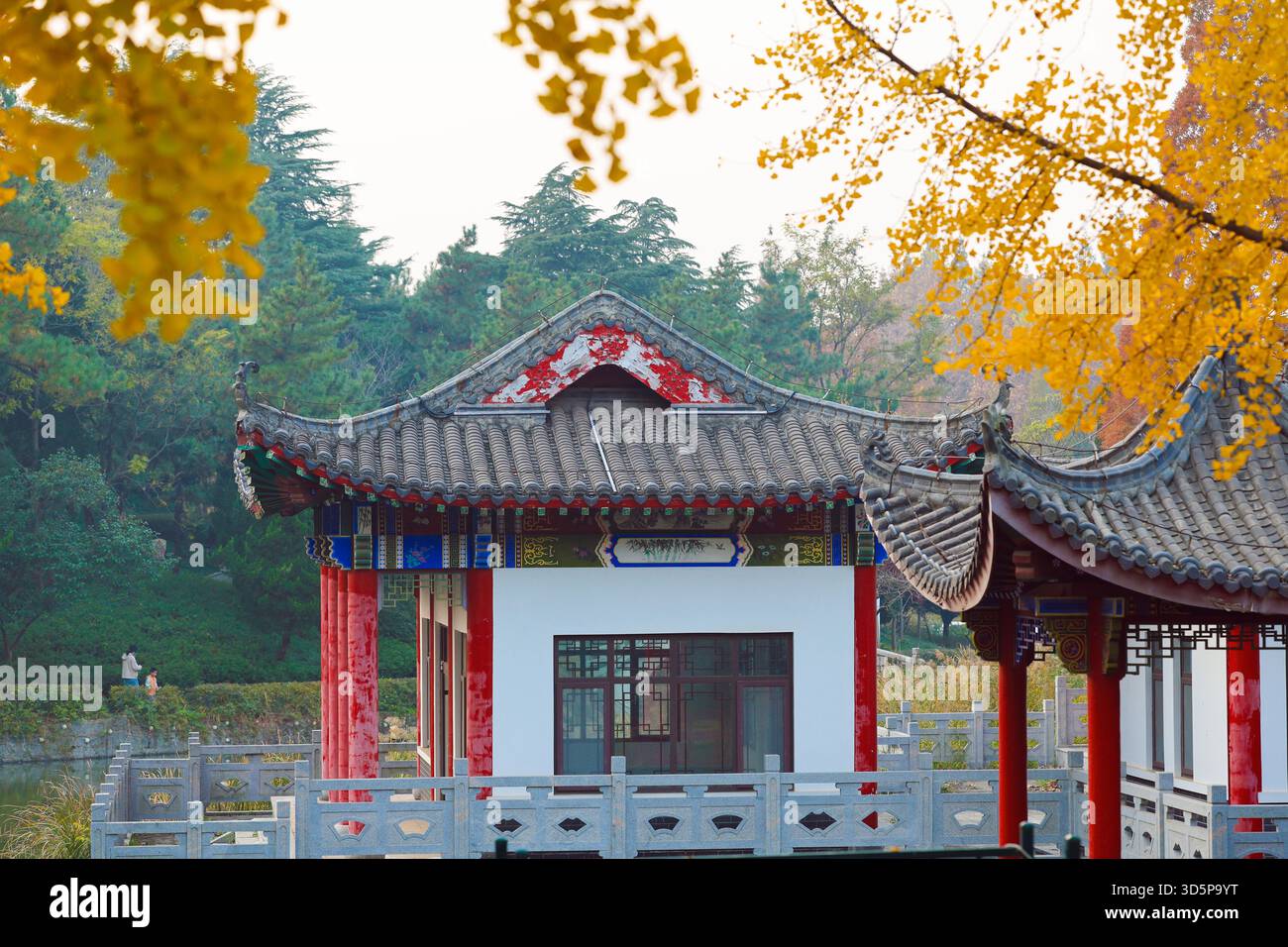 Early winter scenery at a park in Rizhao City, east China's Shandong ...