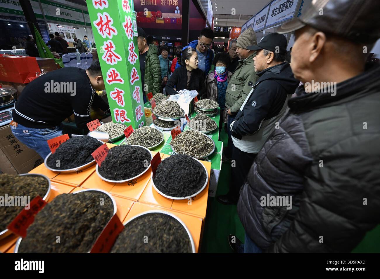 The 11th Shenyang Autumn Tea Culture Festival kicks off in Shenyang ...