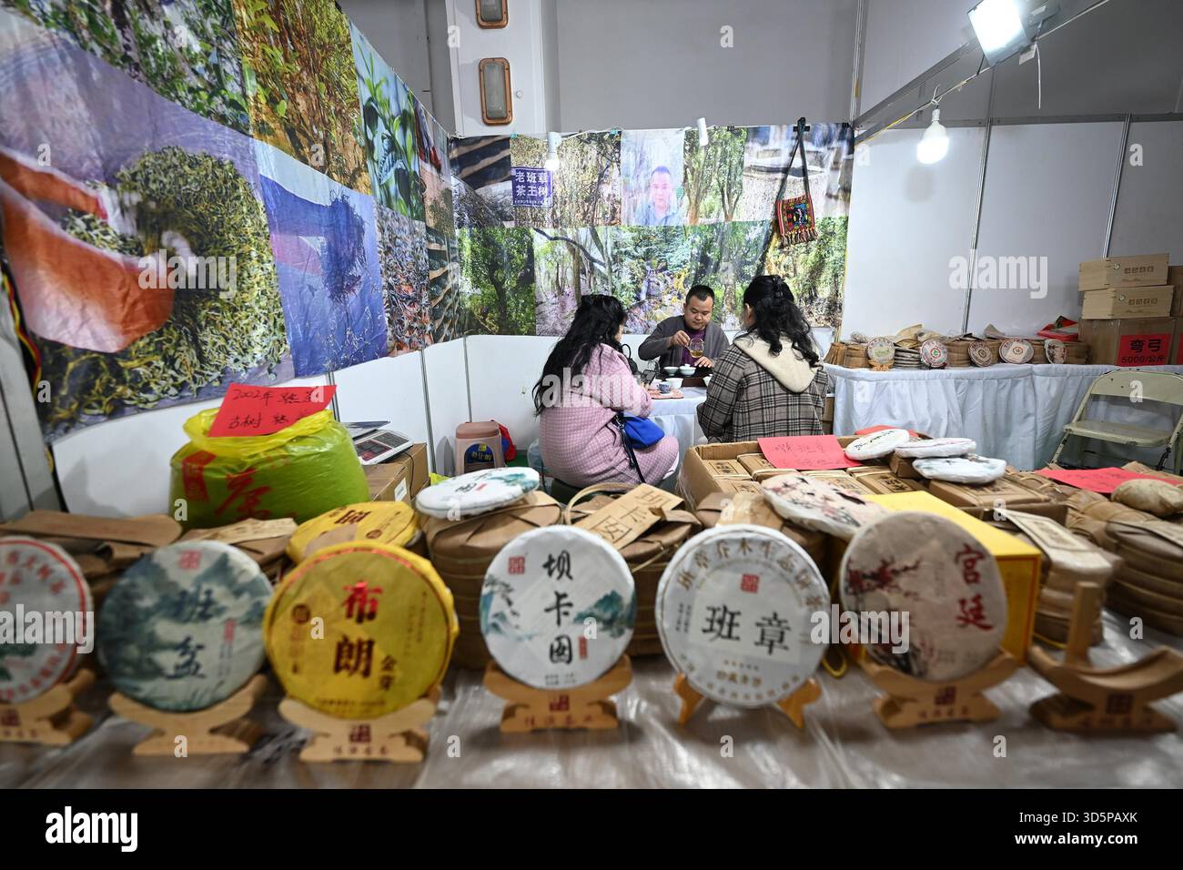 The 11th Shenyang Autumn Tea Culture Festival kicks off in Shenyang ...