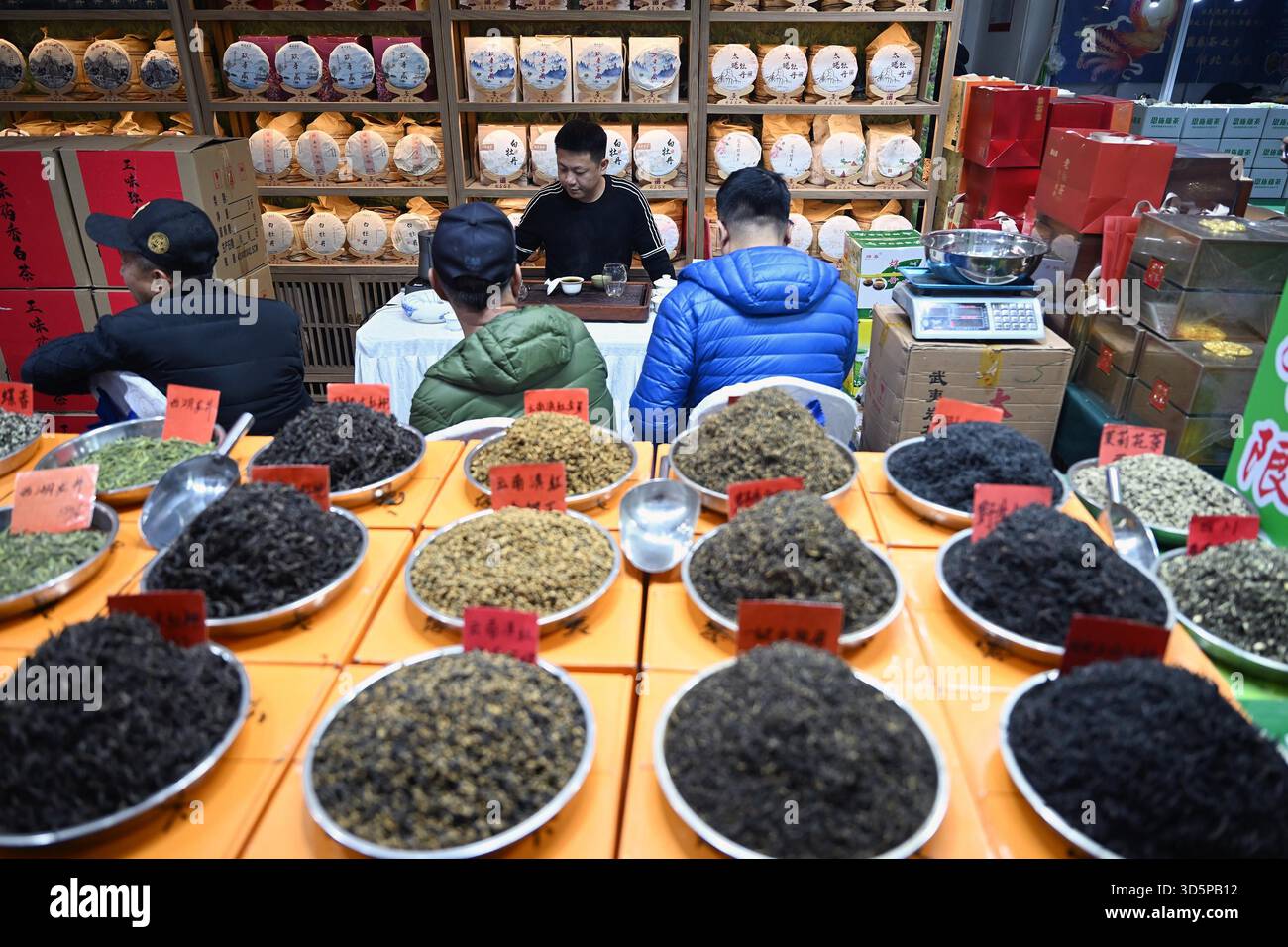 The 11th Shenyang Autumn Tea Culture Festival kicks off in Shenyang ...