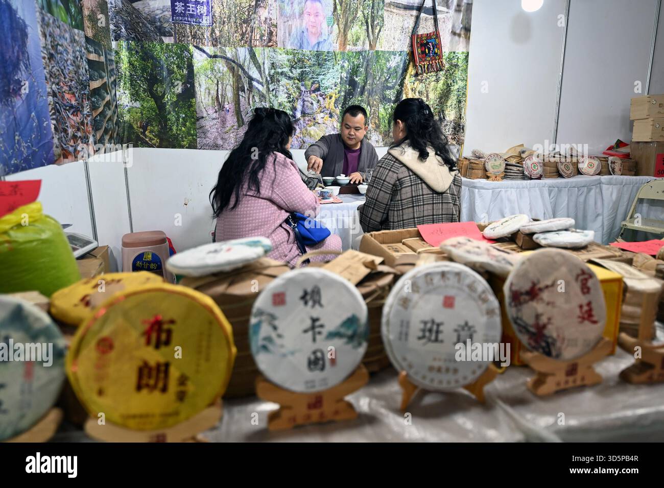 The 11th Shenyang Autumn Tea Culture Festival kicks off in Shenyang ...