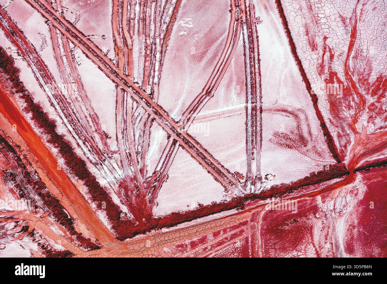 Aerial view of vivid red and pink earth crisscrossed by stark white ...
