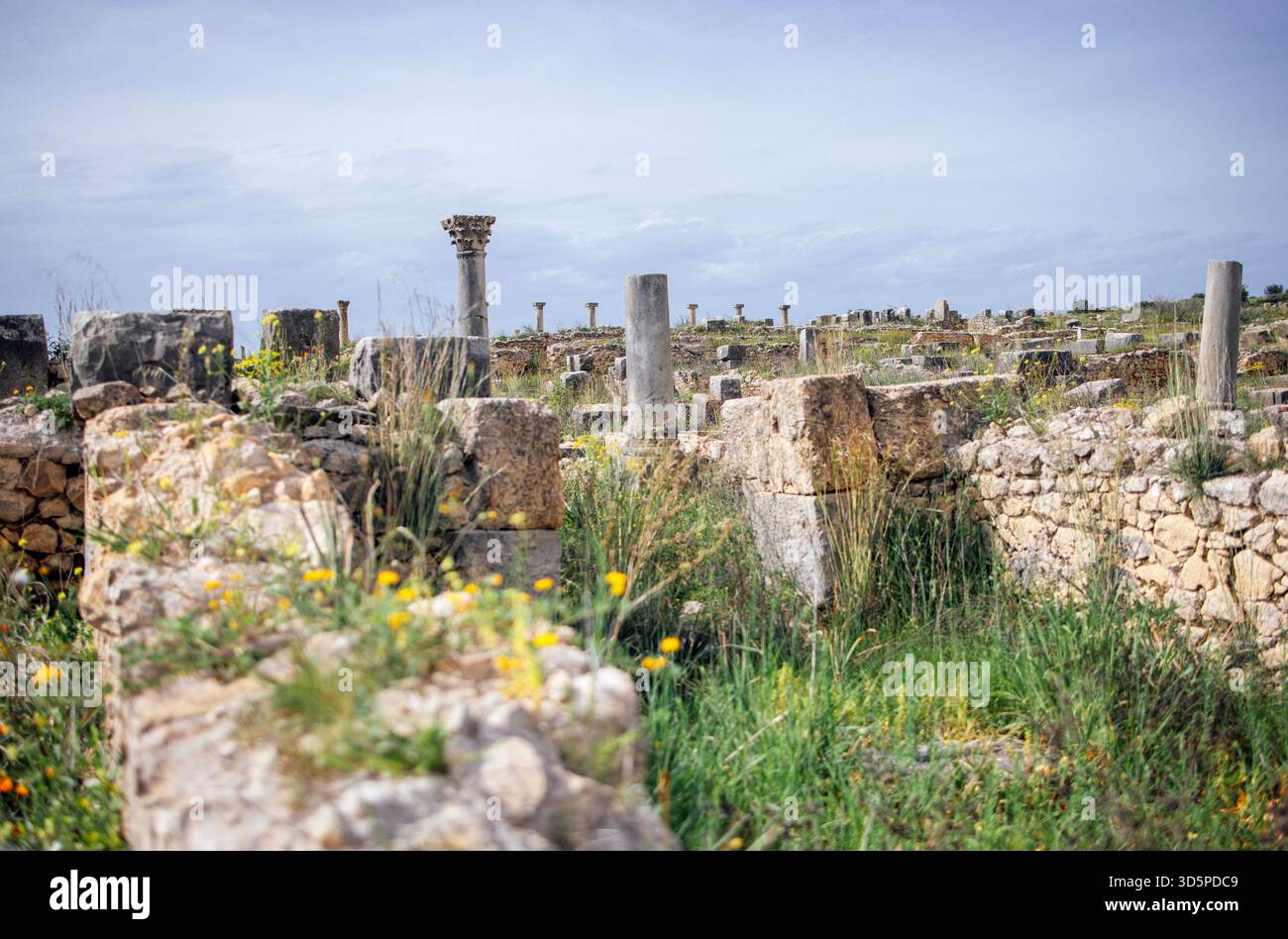 Stone ruins featuring columns and walls of Volubilis, Morocco ...