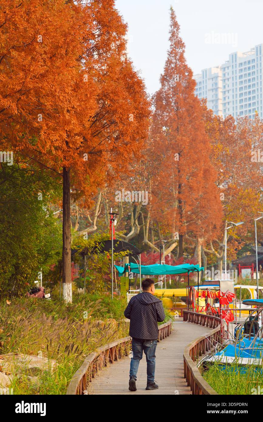 Early winter scenery at a park in Rizhao City, east China's Shandong ...